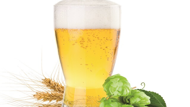 Beer Dealcoholization Webinar | Alfa Laval